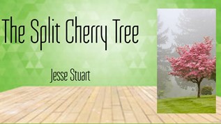 The Split Cherry tree copy1 at emaze Presentation