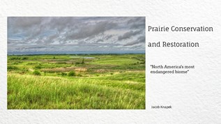 Prairie Conservation and Restoration at emaze Presentation