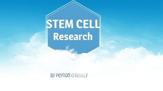 Stem Cell at emaze Presentation