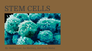 Biotechnology: Stem Cells at emaze Presentation