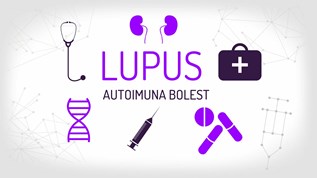 LUPUS-AUTOIMUNA BOLEST at emaze Presentation