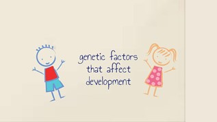 genetic factors that affect development at emaze Presentation