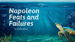 Napoleon feats and failures at emaze Presentation