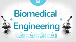 Biomedical Engineer on emaze