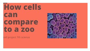 How cells can compare to a zoo at emaze Presentation