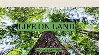 Life On Land at emaze Presentation