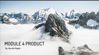 MODULE 4 PRODUCT at emaze Presentation