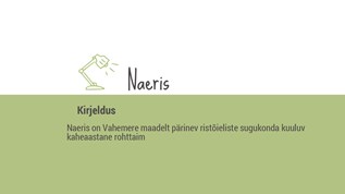 Naeris at emaze Presentation