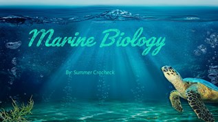 Marine Biology at emaze Presentation
