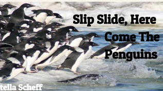 stella penguins at emaze Presentation