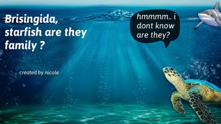 What is the Difference b at emaze Presentation