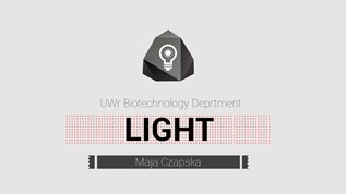 LIGHT at emaze Presentation