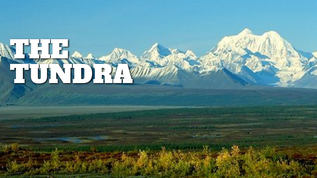 Science Project- Tundra at emaze Presentation