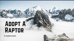 Adopt A Raptor at emaze Presentation