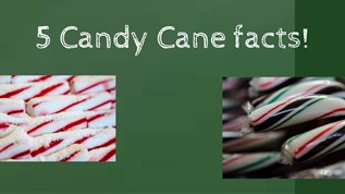10 Candy Cane facts! at emaze Presentation
