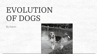 Evolution of Dogs at emaze Presentation