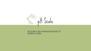 pH Scale at emaze Presentation