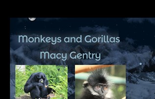 Monkeys and Gorilla at emaze Presentation