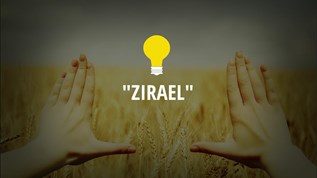 "ZIRAEL" at emaze Presentation