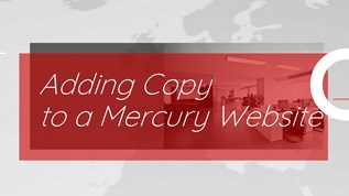 Adding Website Copy at emaze Presentation