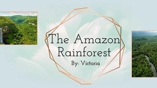 Amazon Rainforest at emaze Photo Album