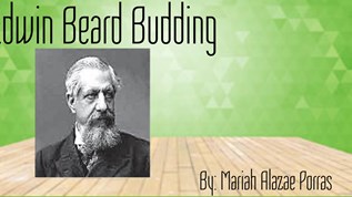 Edwin Beard Budding at emaze Presentation