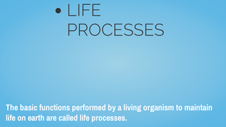 life process ppt.pptx at emaze Presentation