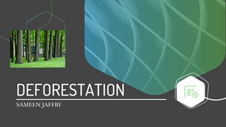DEFORESTATION at emaze Presentation