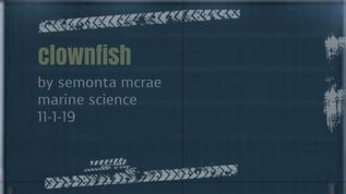 clownfish at emaze Presentation