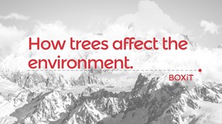 How trees affect the environment. at emaze Presentation