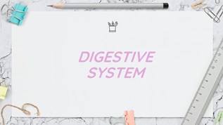 DIGESTIVE SYSTEM at emaze Presentation