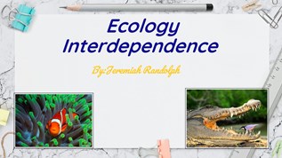 Ecology Interdependence at emaze Presentation
