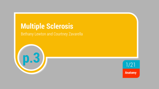 Multiple Sclerosis at emaze Presentation