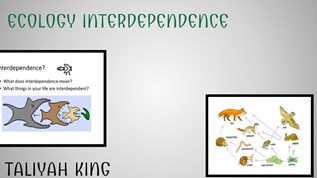 Ecology Interdependence at emaze Presentation
