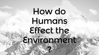 How do Humans Effect the Envinment at emaze Presentation