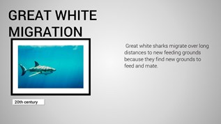 Great White Migration at emaze Presentation
