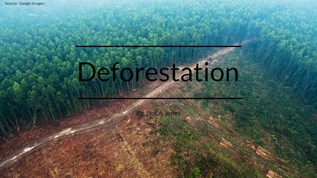 Deforestation at emaze Presentation