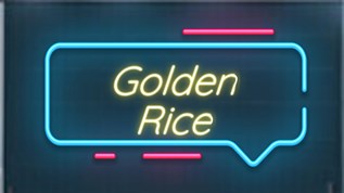 Science Infographic About Golden Rice at emaze Presentation