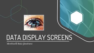 DATA DISPLAY SCREENS at emaze Presentation