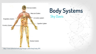 Body Systems (Bio) at emaze Presentation