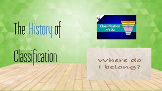 The History Of Classification at emaze Presentation
