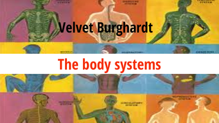 Code Blue at emaze Presentation