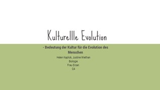 Kulturellle Evolution at emaze Presentation