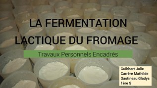 La fermentation lactique du fromage copy1 at emaze Presentation