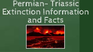 Massive Permian-Triassic extinction at emaze Presentation