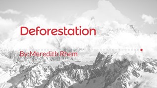 Deforestation at emaze Presentation