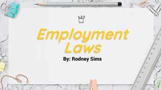 Employment Law Presentation at emaze Presentation