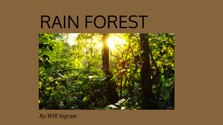 Rain Forest at emaze Presentation