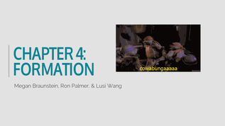 chapter 4: group formation at emaze Presentation