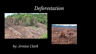 Deforestation at emaze Presentation